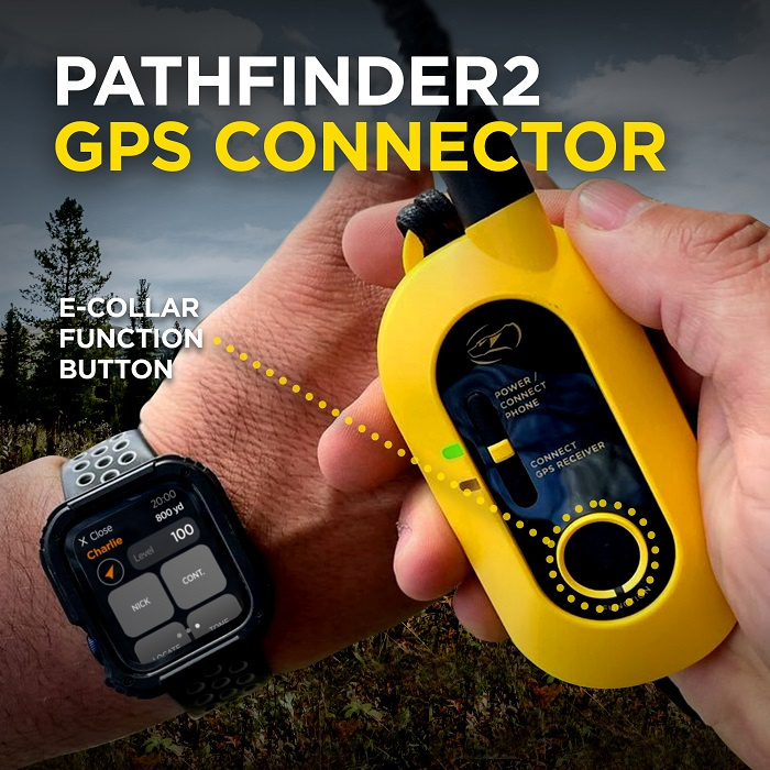 pologar > Dogtra Pathfinder 2 z GPS dla dużych ras psów